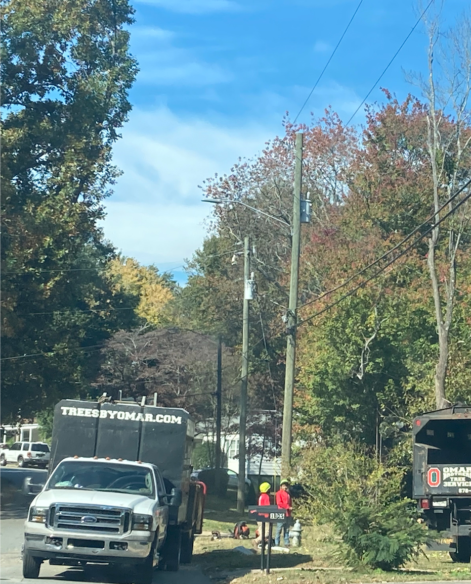 Omar and Brothers Tree Service